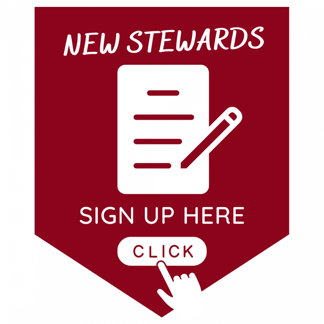 Stewards – Cork GAA